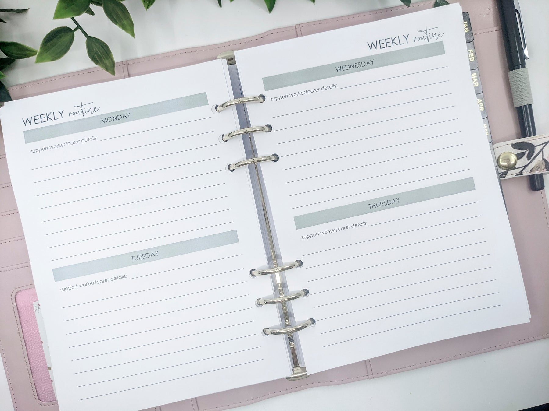 NDIS Planner Insert Pack for National Disability Insurance Scheme by ...