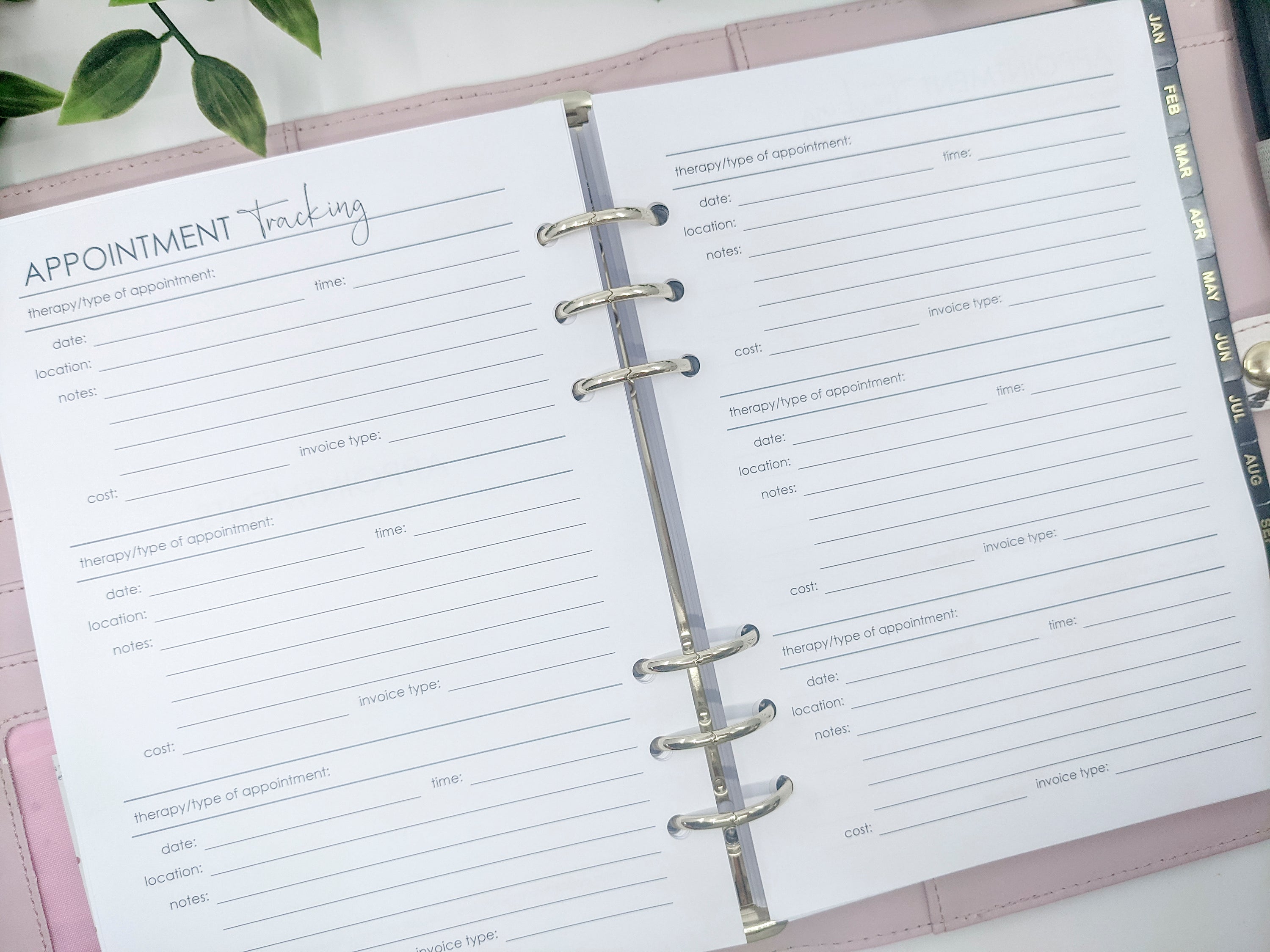 NDIS Planner Insert Pack for National Disability Insurance Scheme by ...