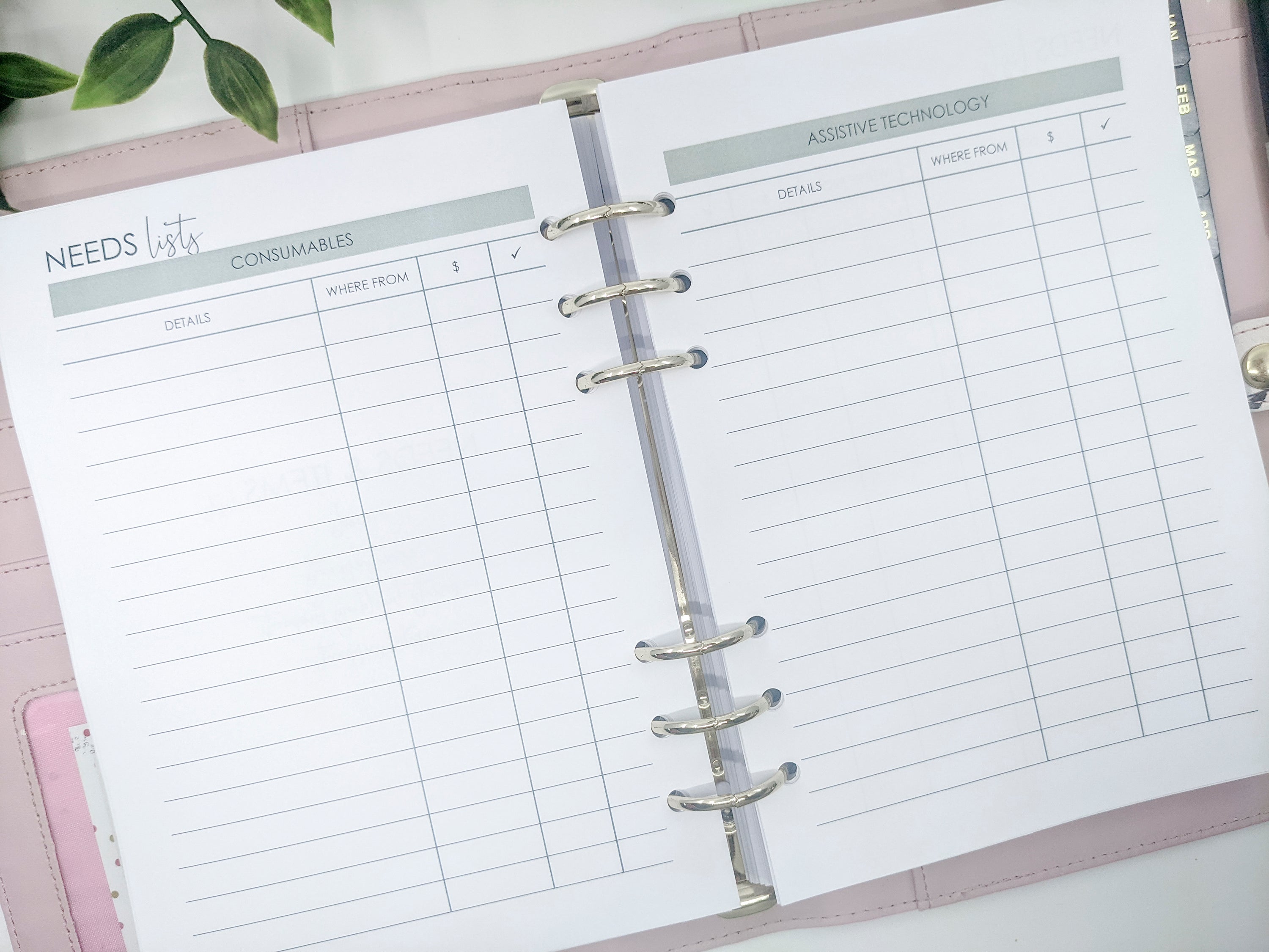 NDIS Planner Insert Pack for National Disability Insurance Scheme by ...