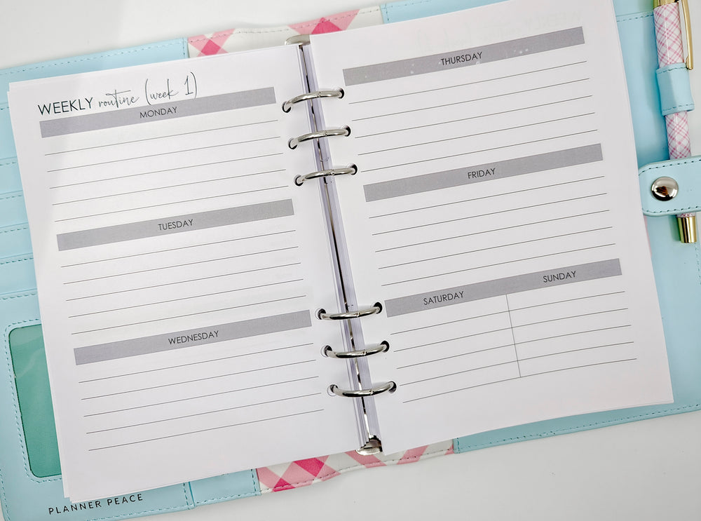 NDIS DisabilIty Support Worker Planner by Planner Peace Australia